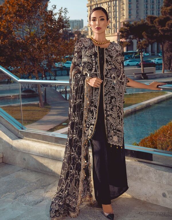 Rang Rasiya Chiffon Collection 2020 - Faisalabad Fabric Store