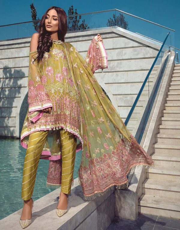 Rang Rasiya Chiffon Collection 2020 - Faisalabad Fabric Store